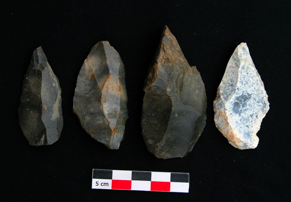 Histoire des silex et outils taillés préhistoriques - l'esthétique