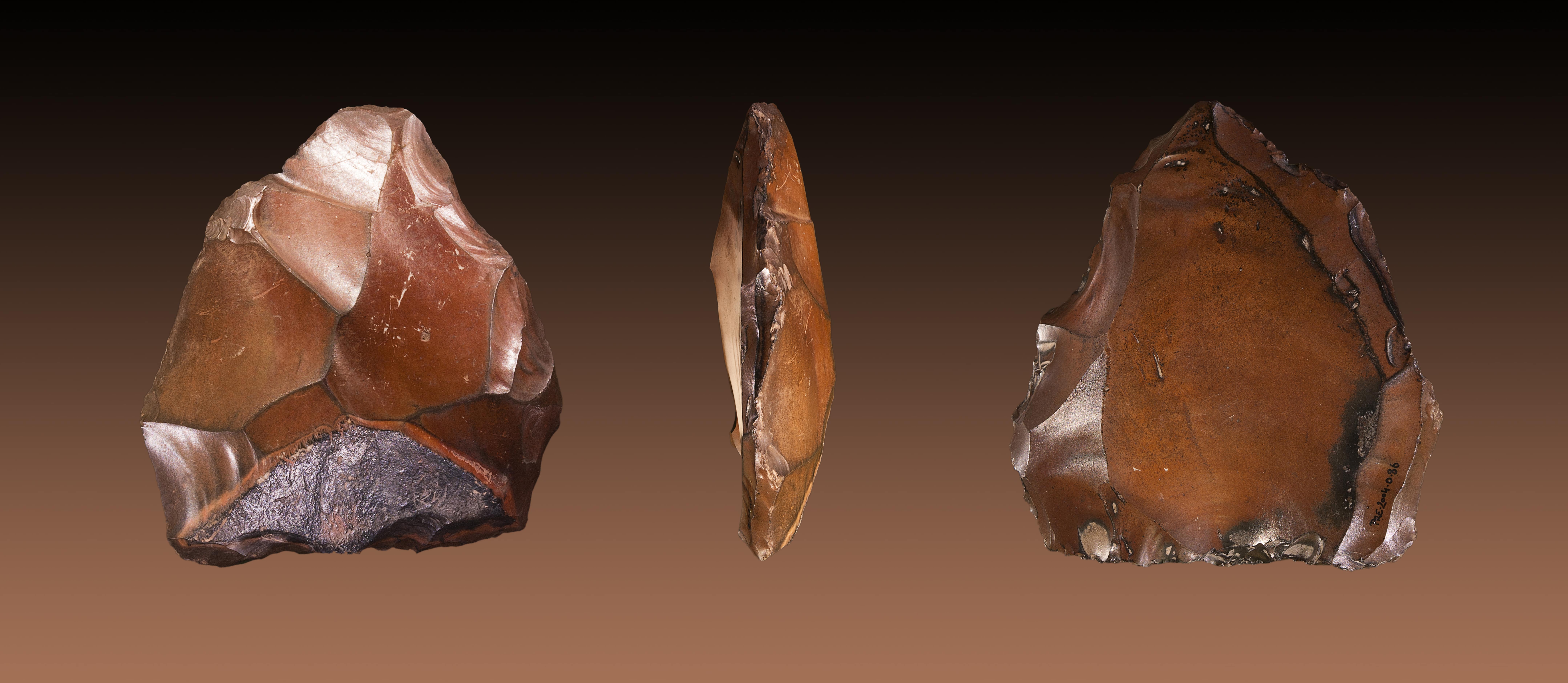 Histoire des outils et silex taillés préhistoriques, une histoire de ...