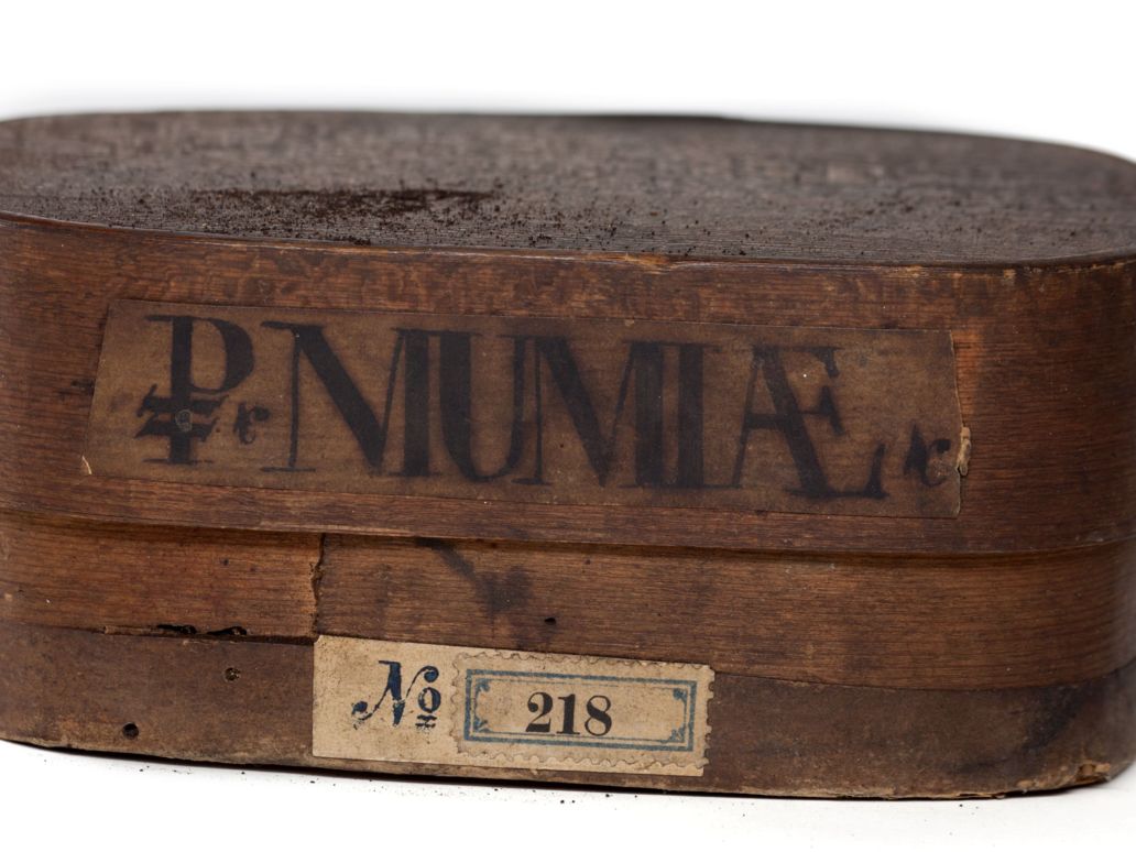 Une Peinture qui Tue - Histoire du Brun de Momie